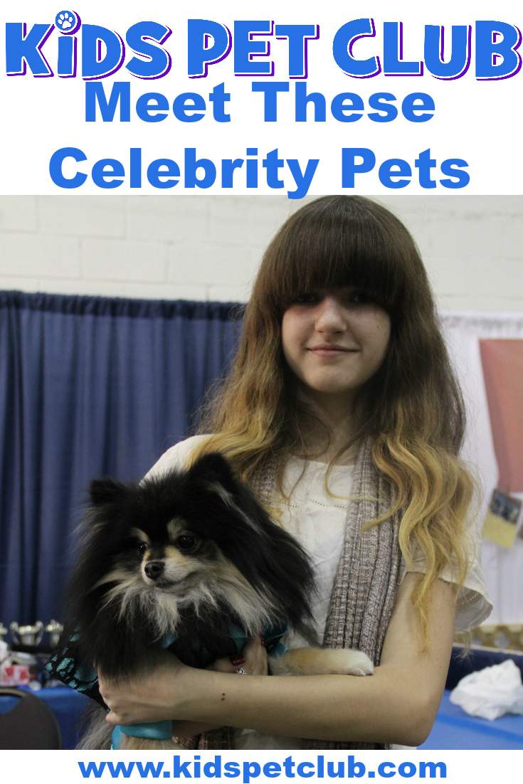 Introducing the Adorable and Charming Celebrity Pets at the CPE - Kid's ...