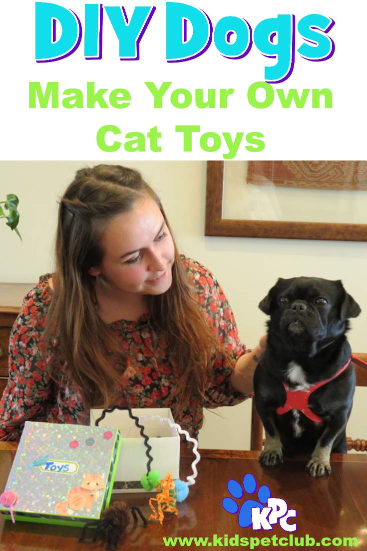 How To Make A Box Full Of DIY Cat Toys - Kid's Pet Club